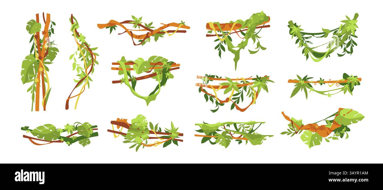 Liana vines amazon Stock Vector Images - Alamy