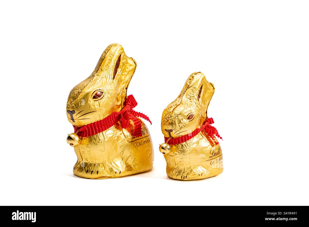 Germany Berlin April 21, 2025. Two chocolate bunnies in a gold wrapper ...