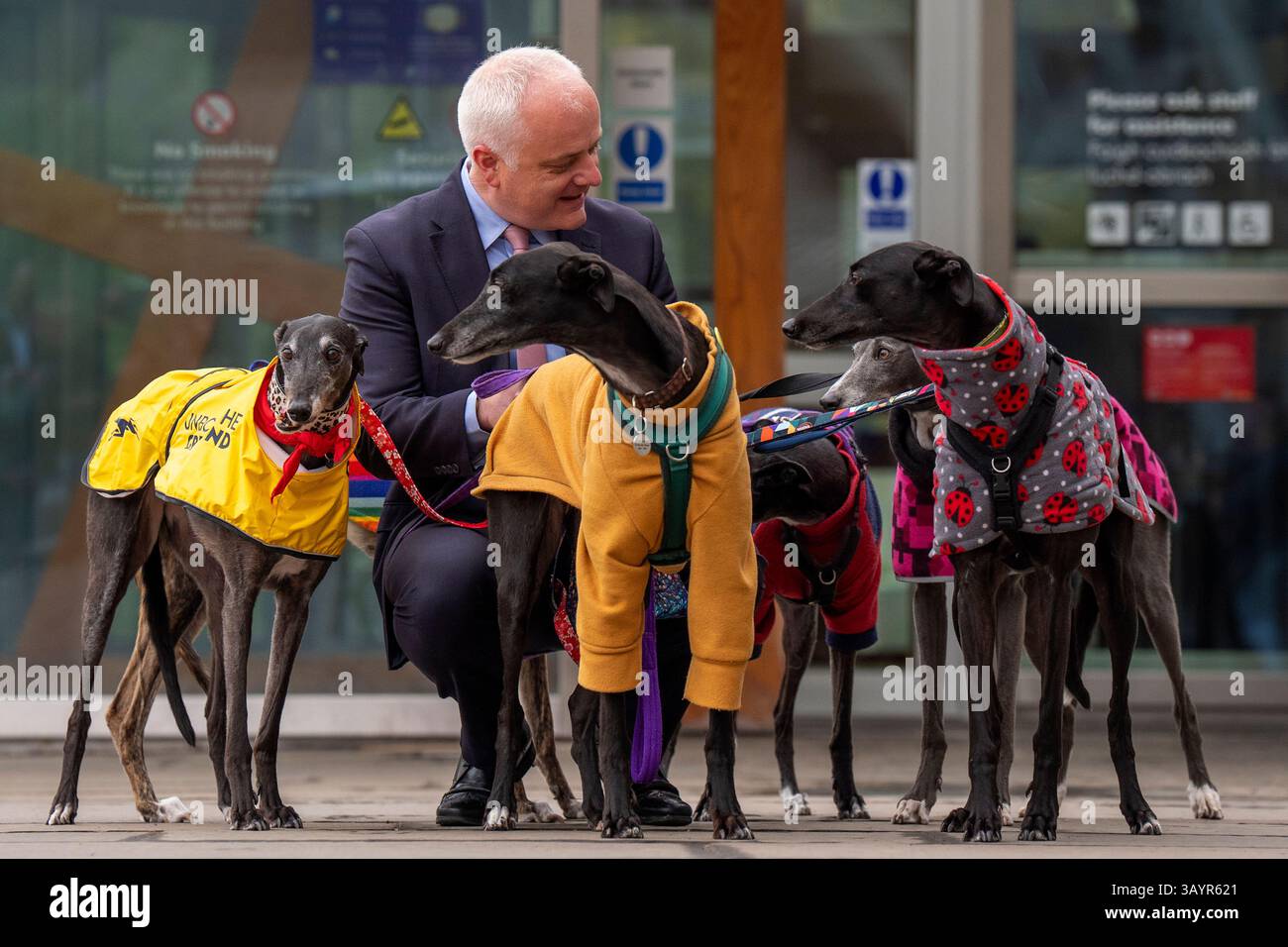Scottish Green MSP Mark Ruskell with former racing greyhounds outside ...