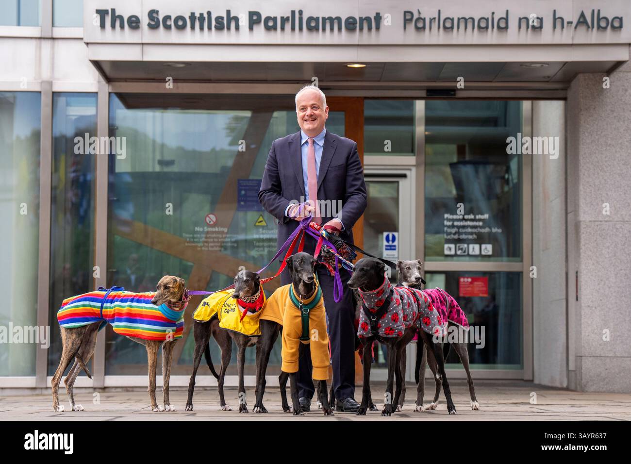 Scottish Green MSP Mark Ruskell with former racing greyhounds outside ...