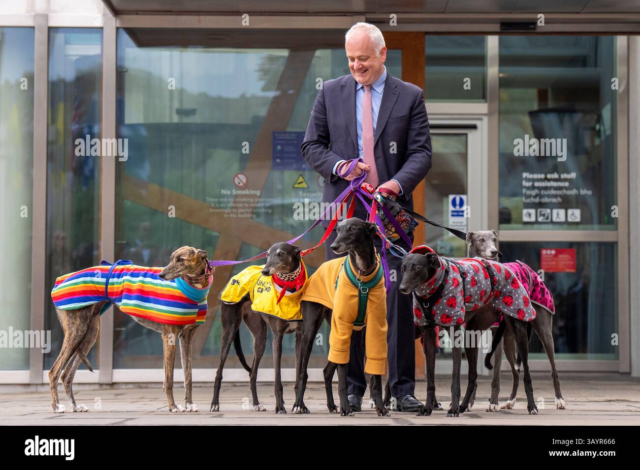 Scottish Green MSP Mark Ruskell with former racing greyhounds outside ...