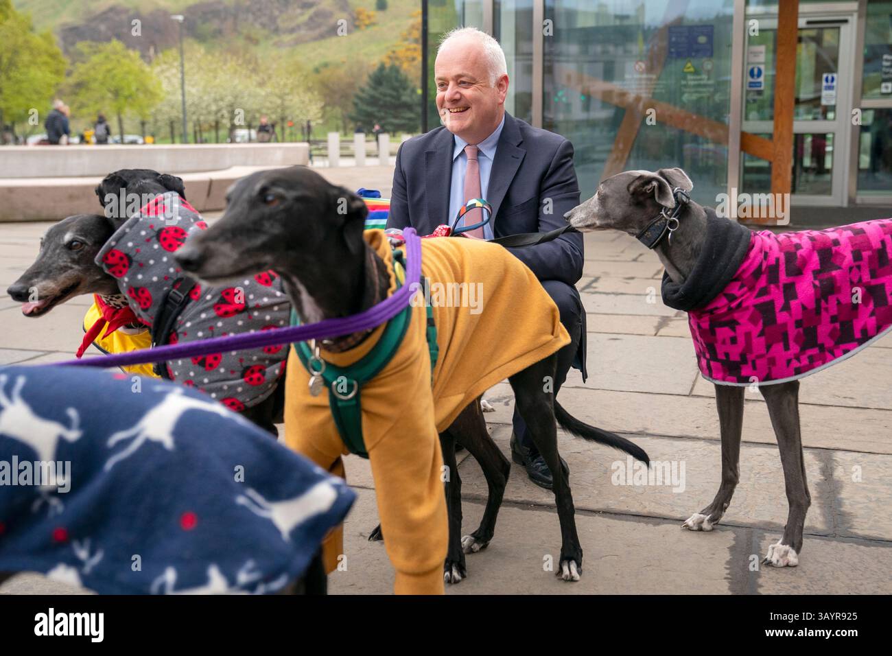 Scottish Green MSP Mark Ruskell with former racing greyhounds outside ...
