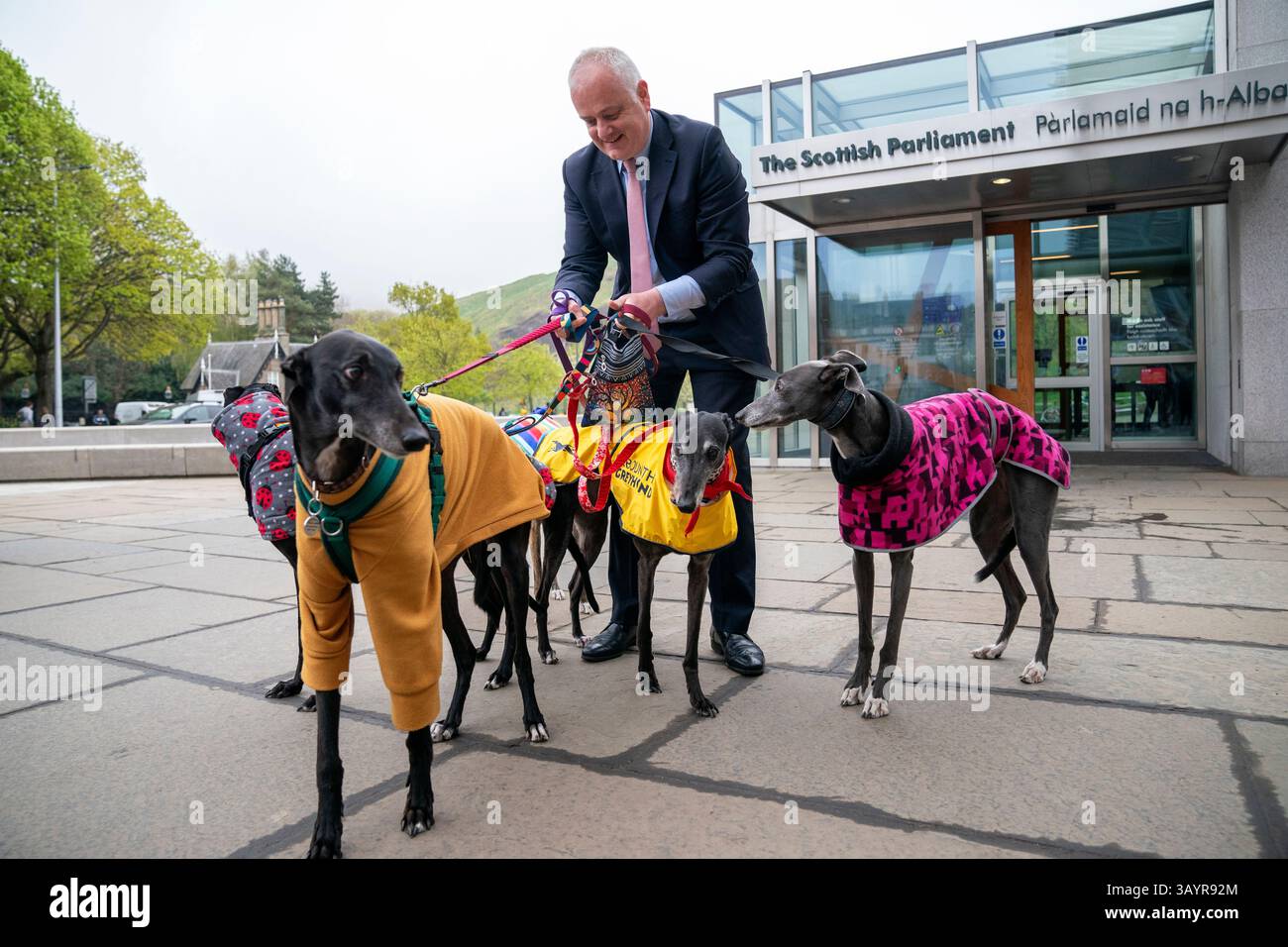 Scottish Green MSP Mark Ruskell with former racing greyhounds outside ...