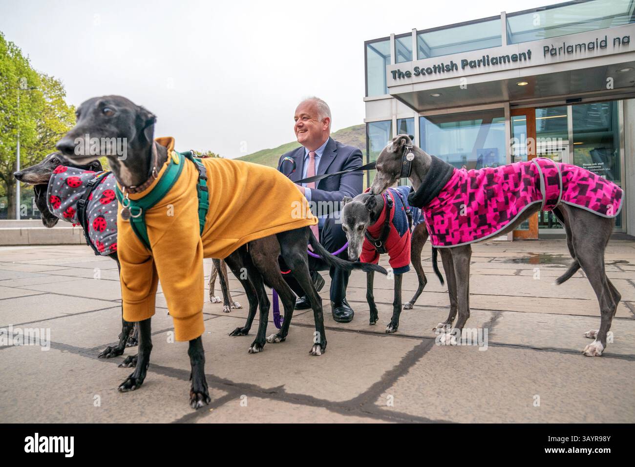 Scottish Green MSP Mark Ruskell with former racing greyhounds outside ...