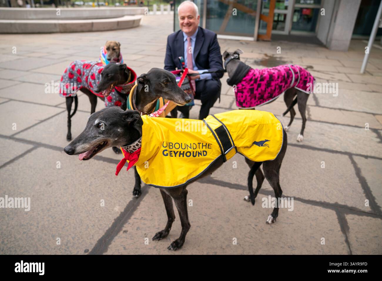 Scottish Green MSP Mark Ruskell with former racing greyhounds outside ...