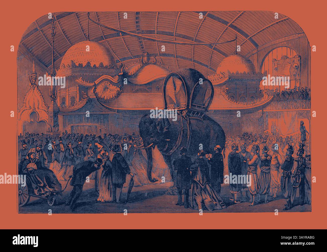 Circus scene featuring hi-res stock photography and images - Alamy