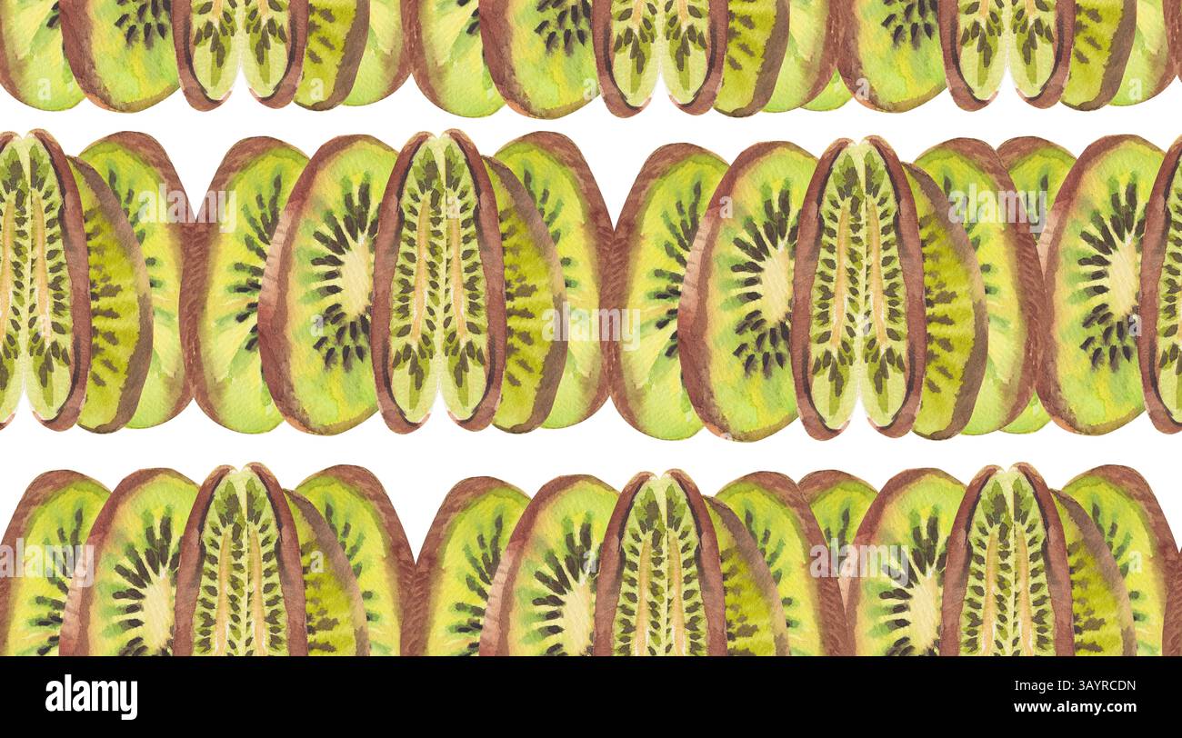 Green kiwi fruit seamless horizontal border isolated on a white ...