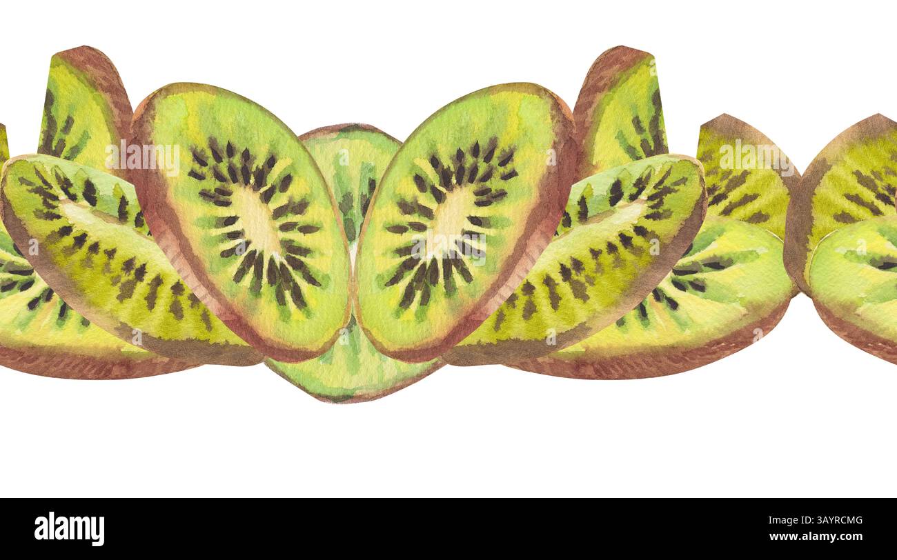 Hand drawn Watercolor kiwi fruit seamless horizontal border isolated on ...