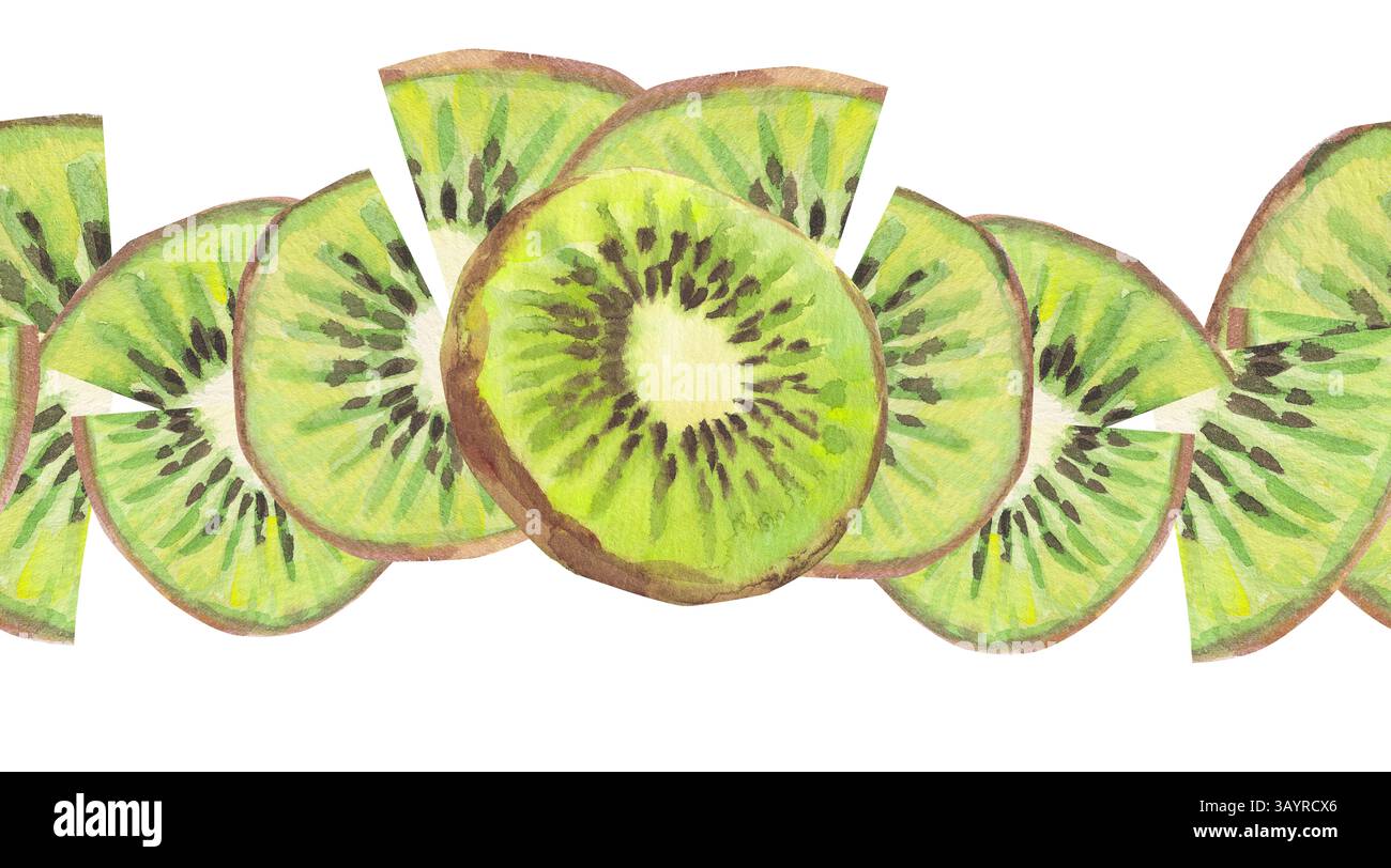 Watercolor kiwi fruit seamless horizontal border isolated on a white ...