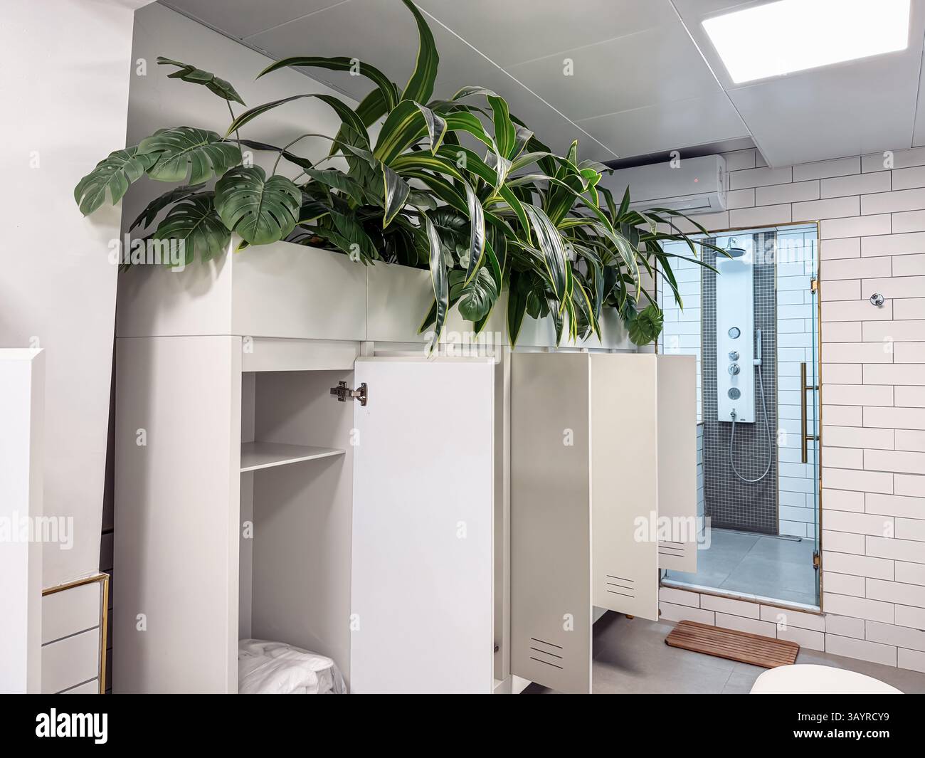In a stylish locker room, tall indoor plants sit atop sleek white ...