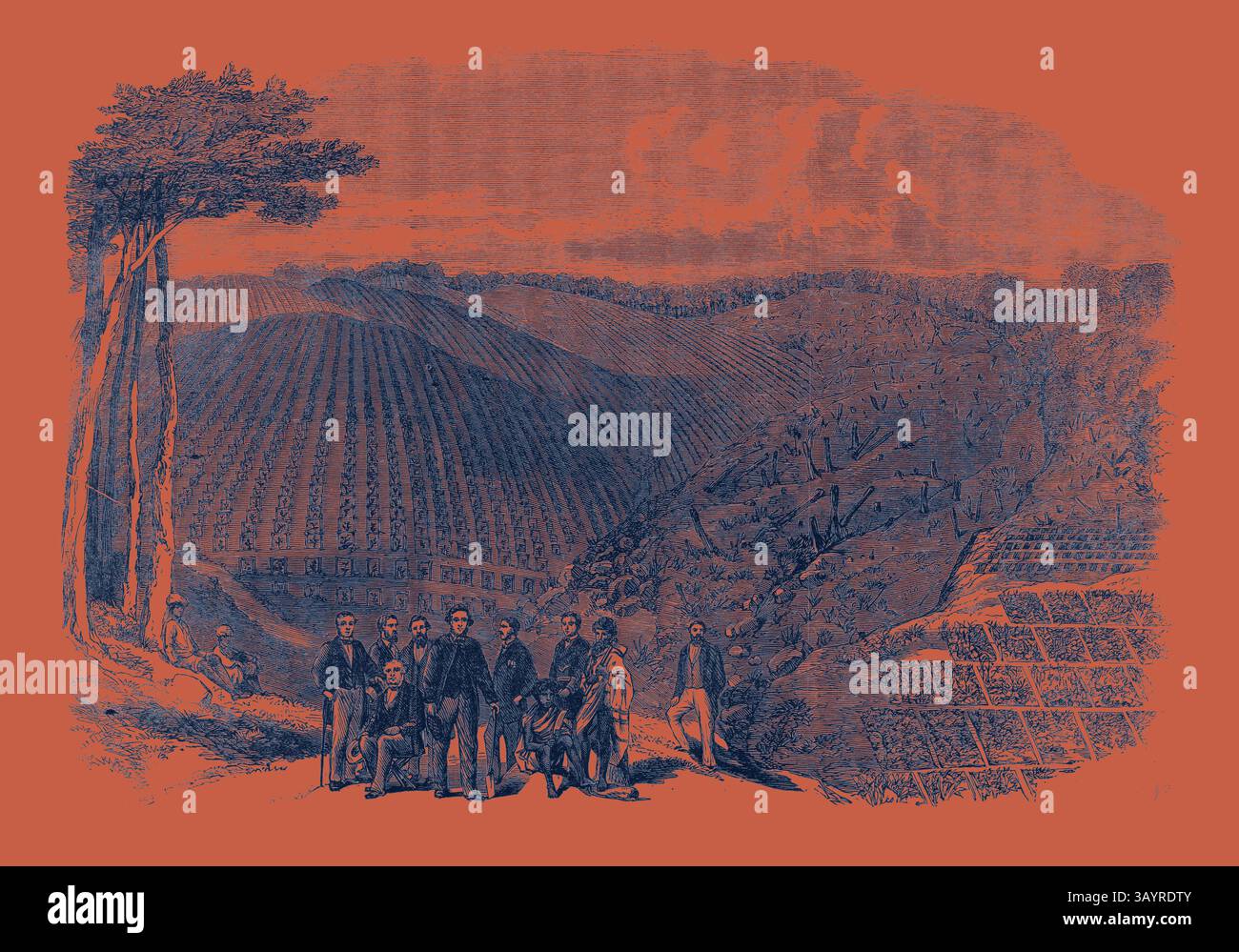 Human endeavor in farming hi-res stock photography and images - Alamy