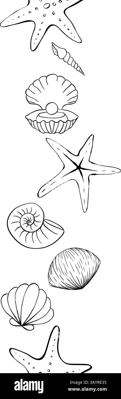 Transparent seashell border hi-res stock photography and images - Alamy