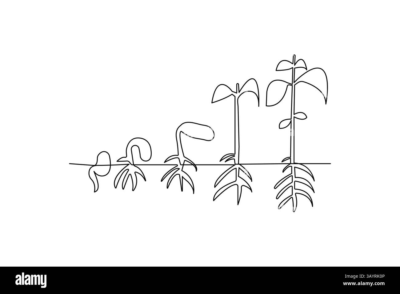 One line plant growth Stock Vector Images - Alamy