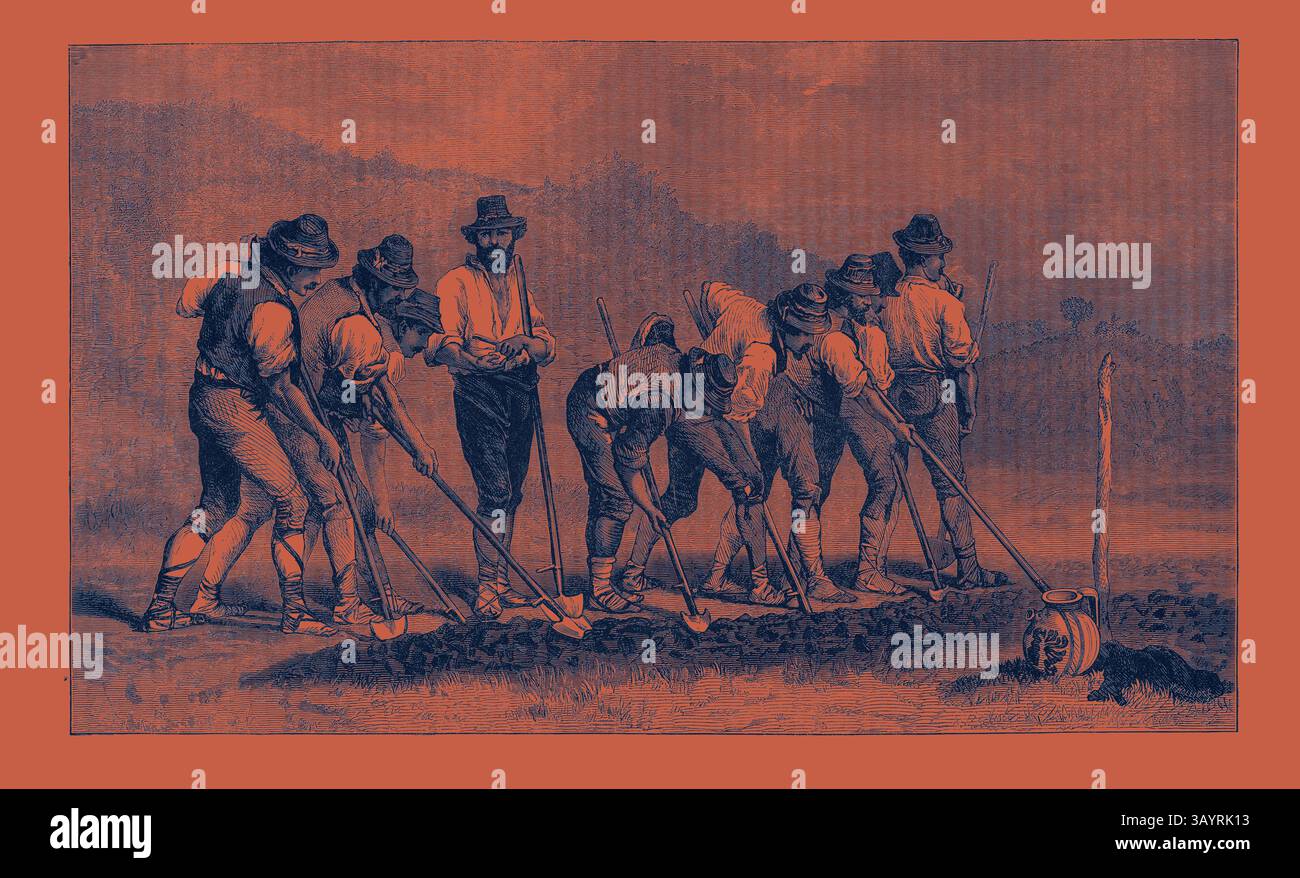 A group of laborers is working diligently in a field, using shovels to ...