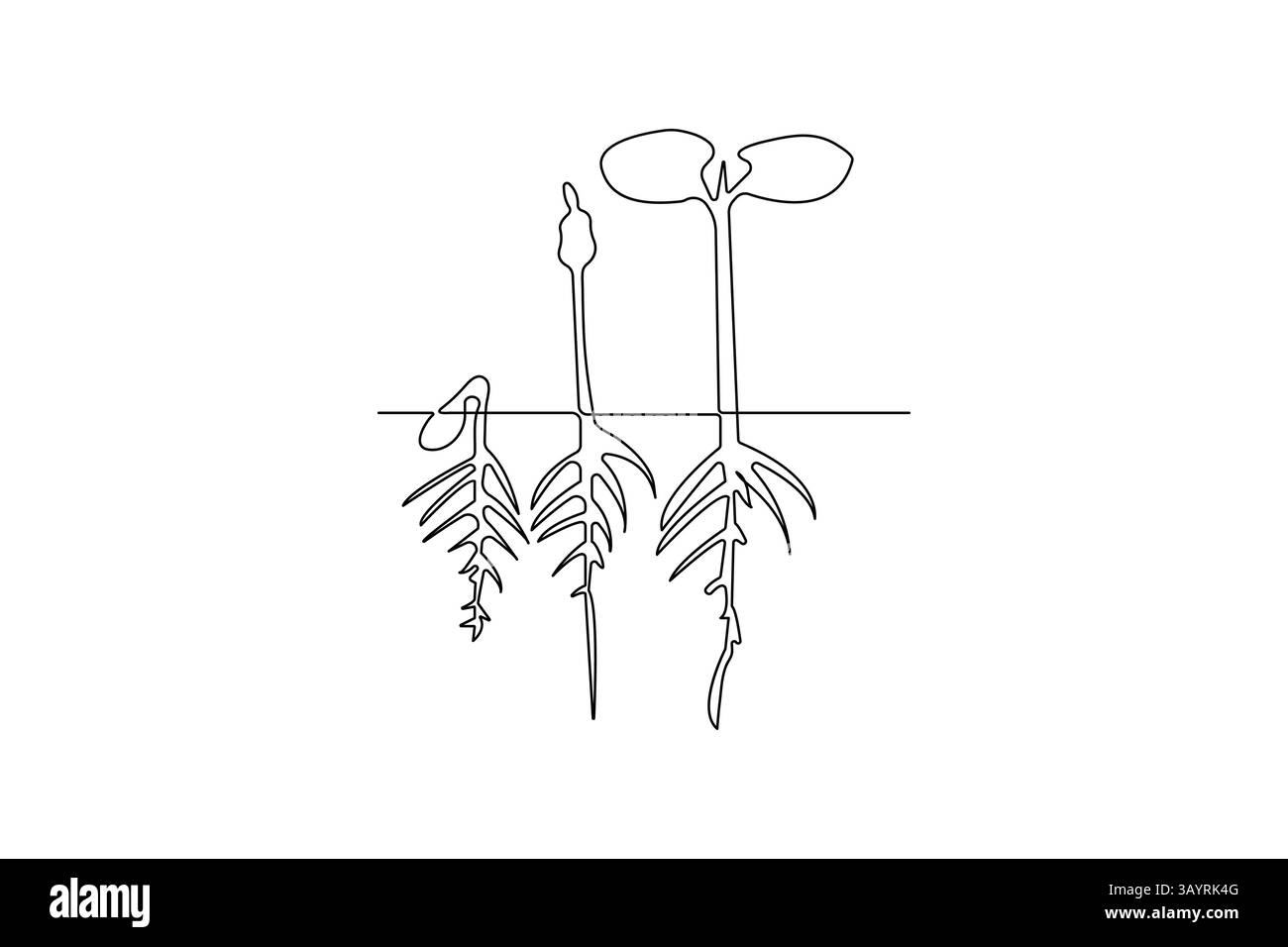 Growth plant one line art continuous one line Minimalist style vector ...