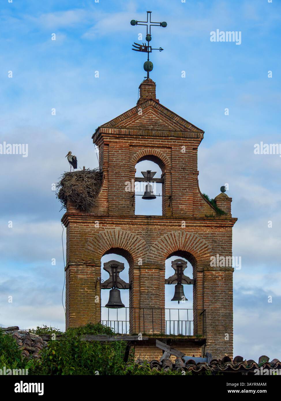 A nest of storks in the bell tower of the convent of Santa Clara in ...