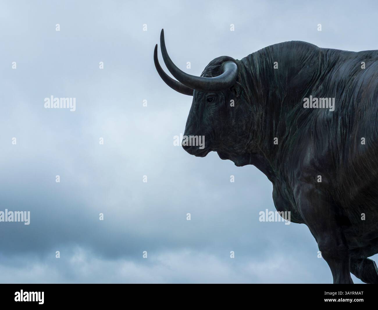 Bronze sculpture of the so-called Toro de la Vega, a very polemic ...
