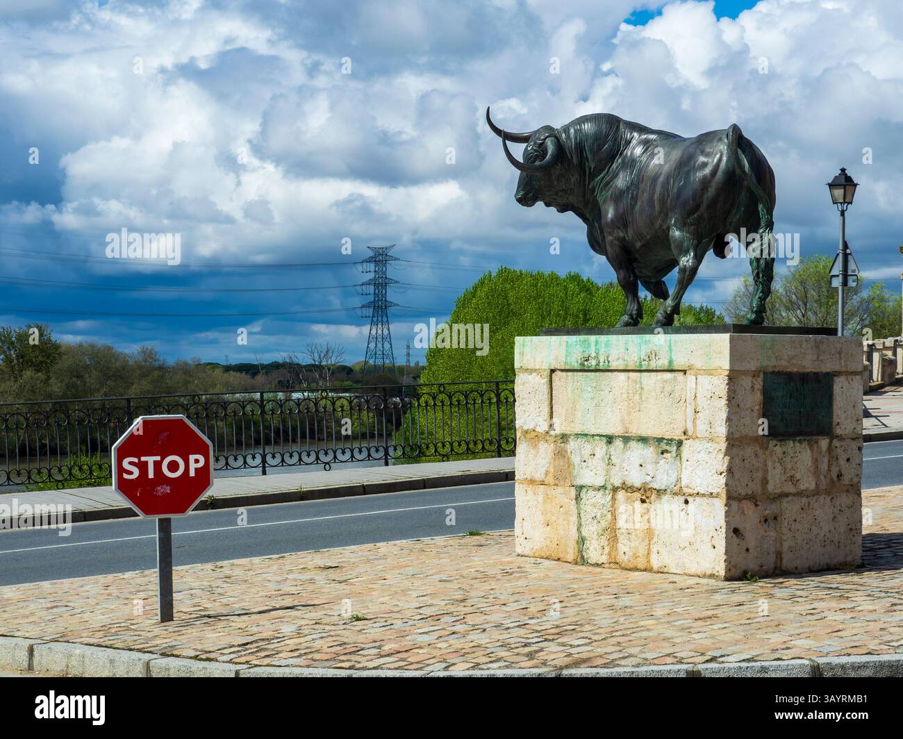 Bronze sculpture of the so-called Toro de la Vega, a very polemic ...