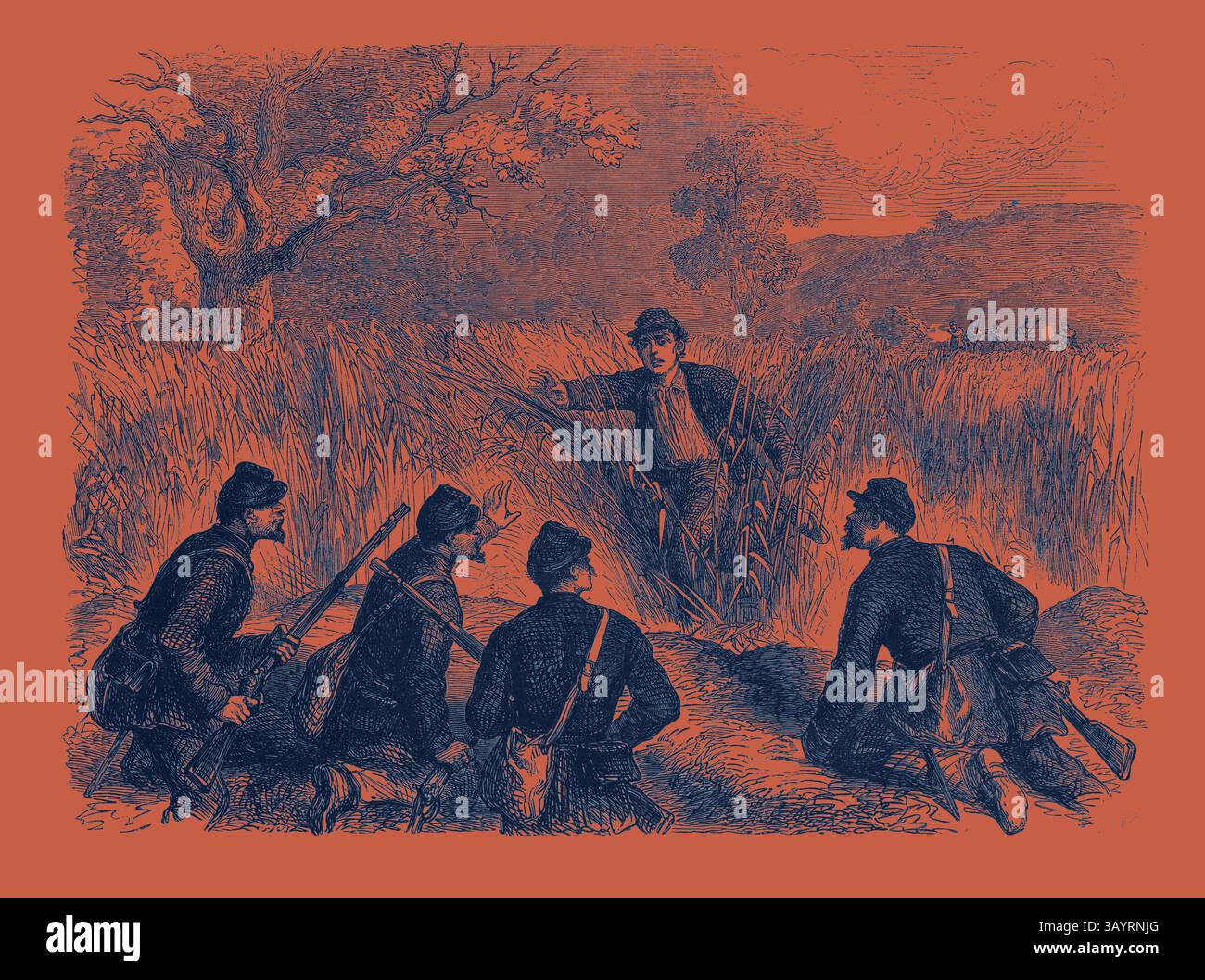 Group of soldiers crouches in tall grass hi-res stock photography and ...