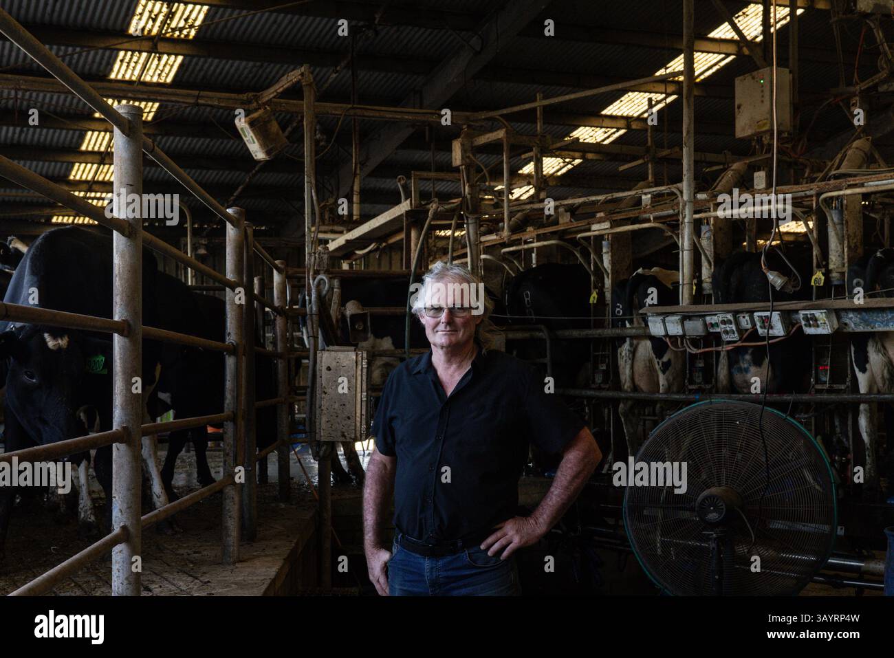 Windslow, Australia. 23rd Apr, 2025. Dairy farmer Bernie Free poses for ...