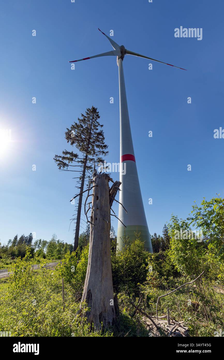wind turbine in a german coniferous forest Stock Photo - Alamy