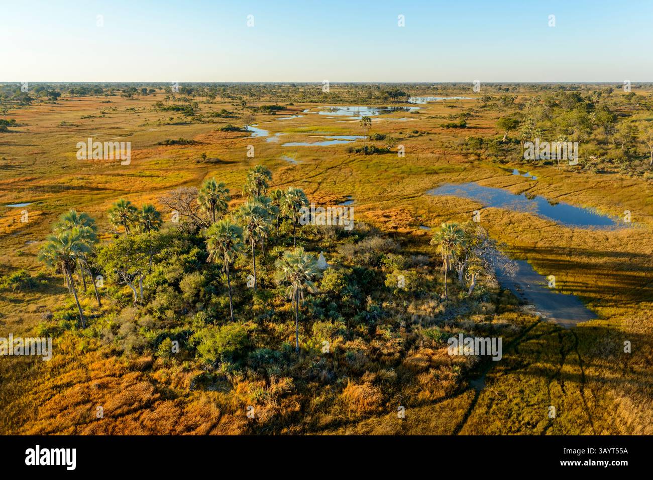 Aerial view of the Okavango Delta showing the annual flood as water ...