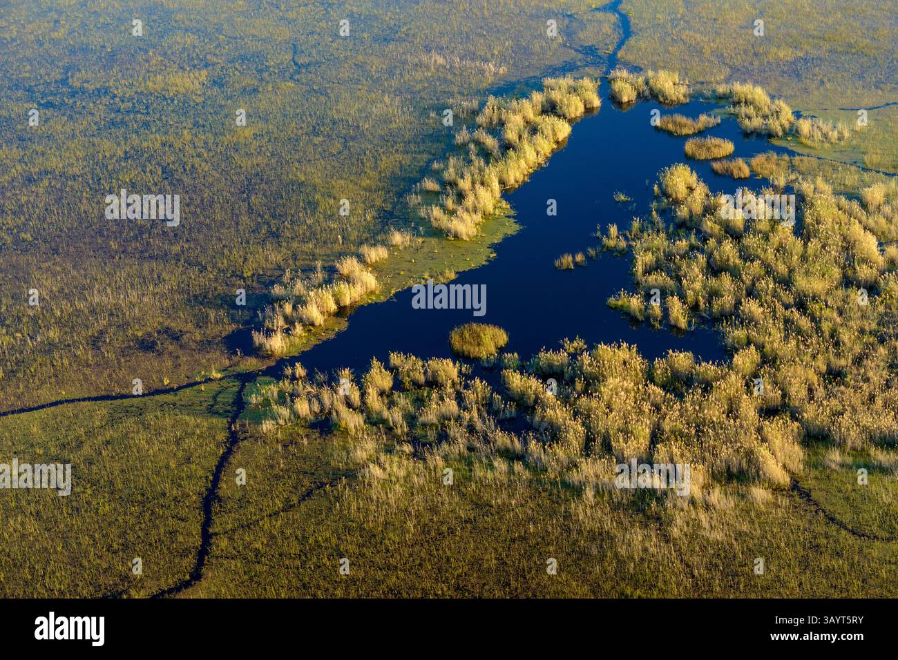 Aerial view of the Okavango Delta showing the annual flood as water ...