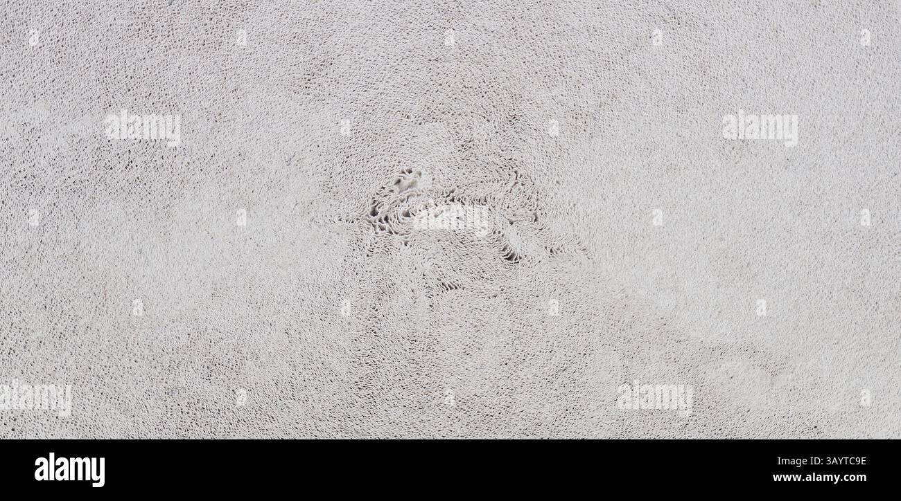 paper roll cross section front view Stock Photo - Alamy