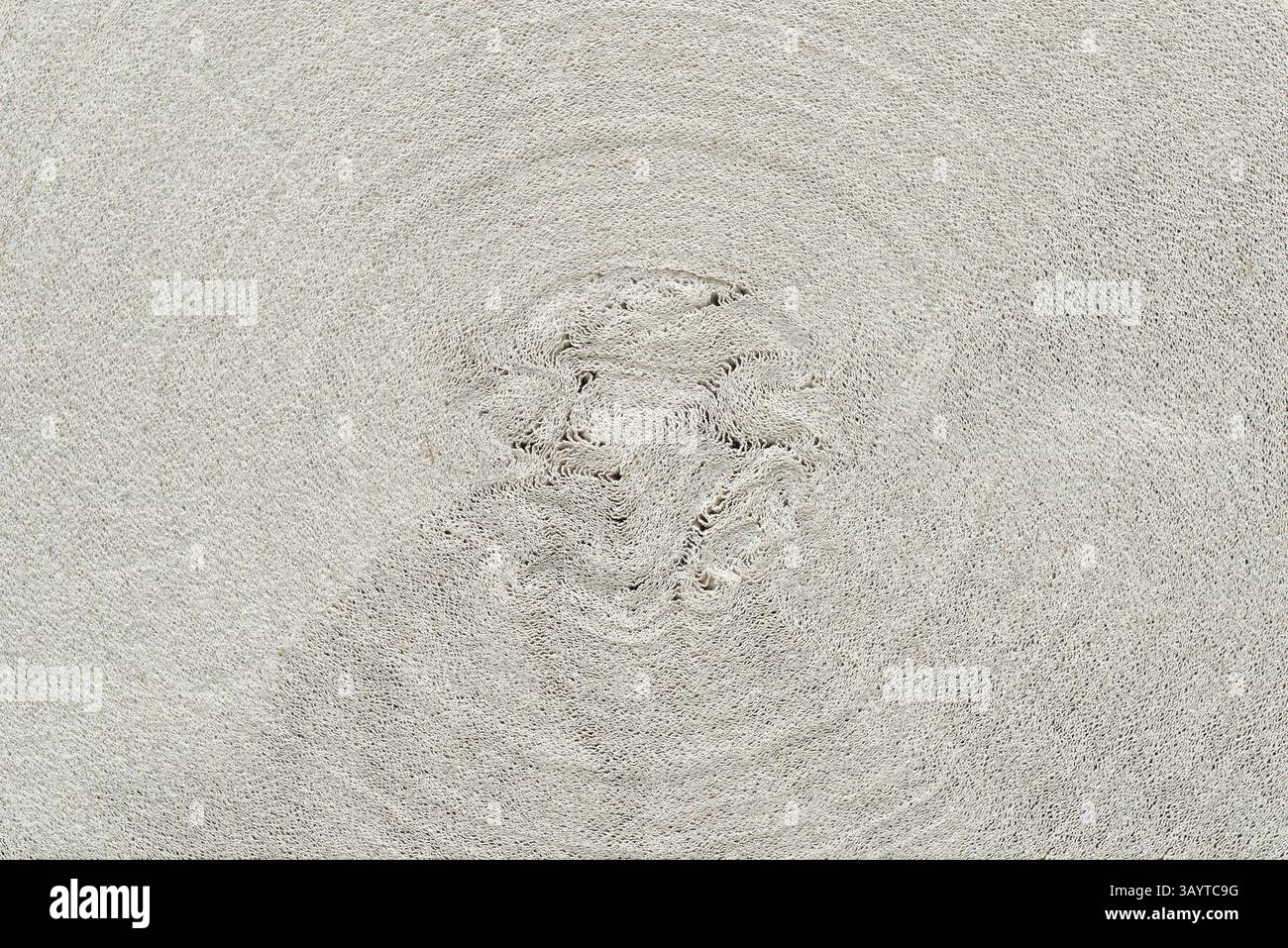 paper roll cross section front view Stock Photo - Alamy