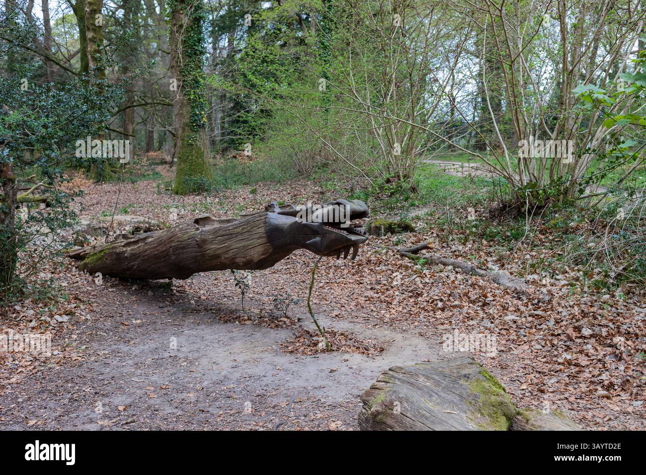 Balanos the Dragon sculpture at the Pondhead Inclosure in the New ...
