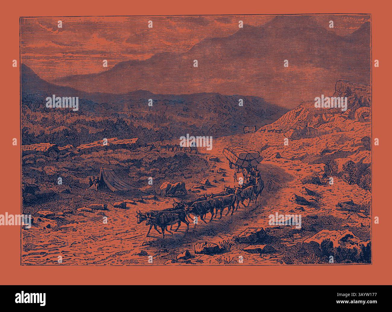 A group of oxen pulling a wagon travels along a rugged dirt path ...