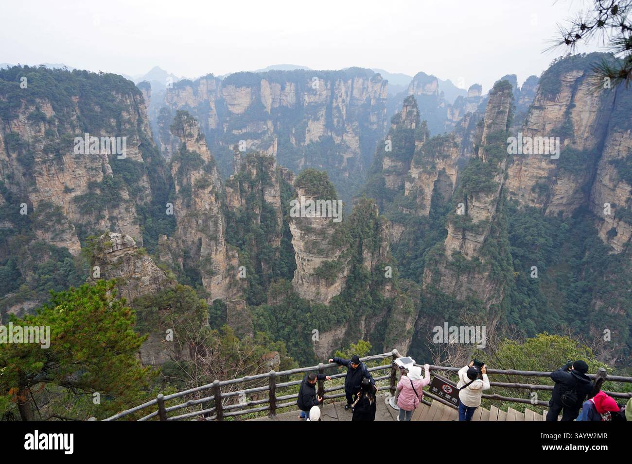 Avatar Mountain National Park, Zhangjiajie, China Stock Photo - Alamy