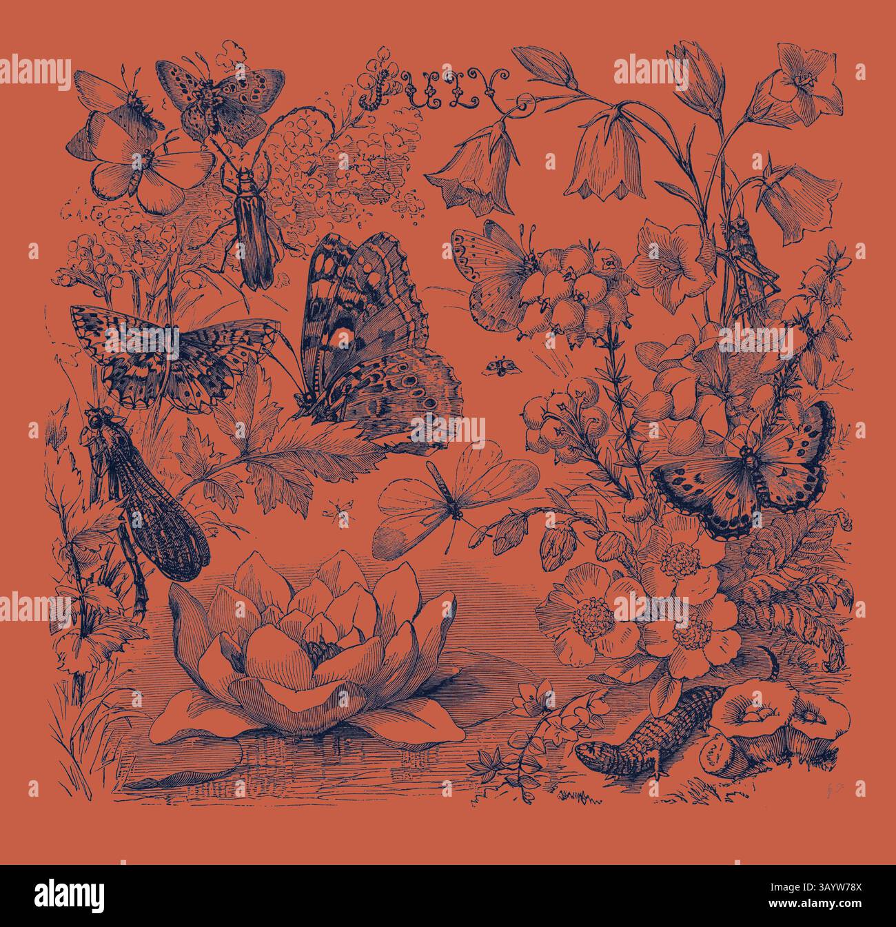 A vibrant tapestry of nature, featuring an array of butterflies ...