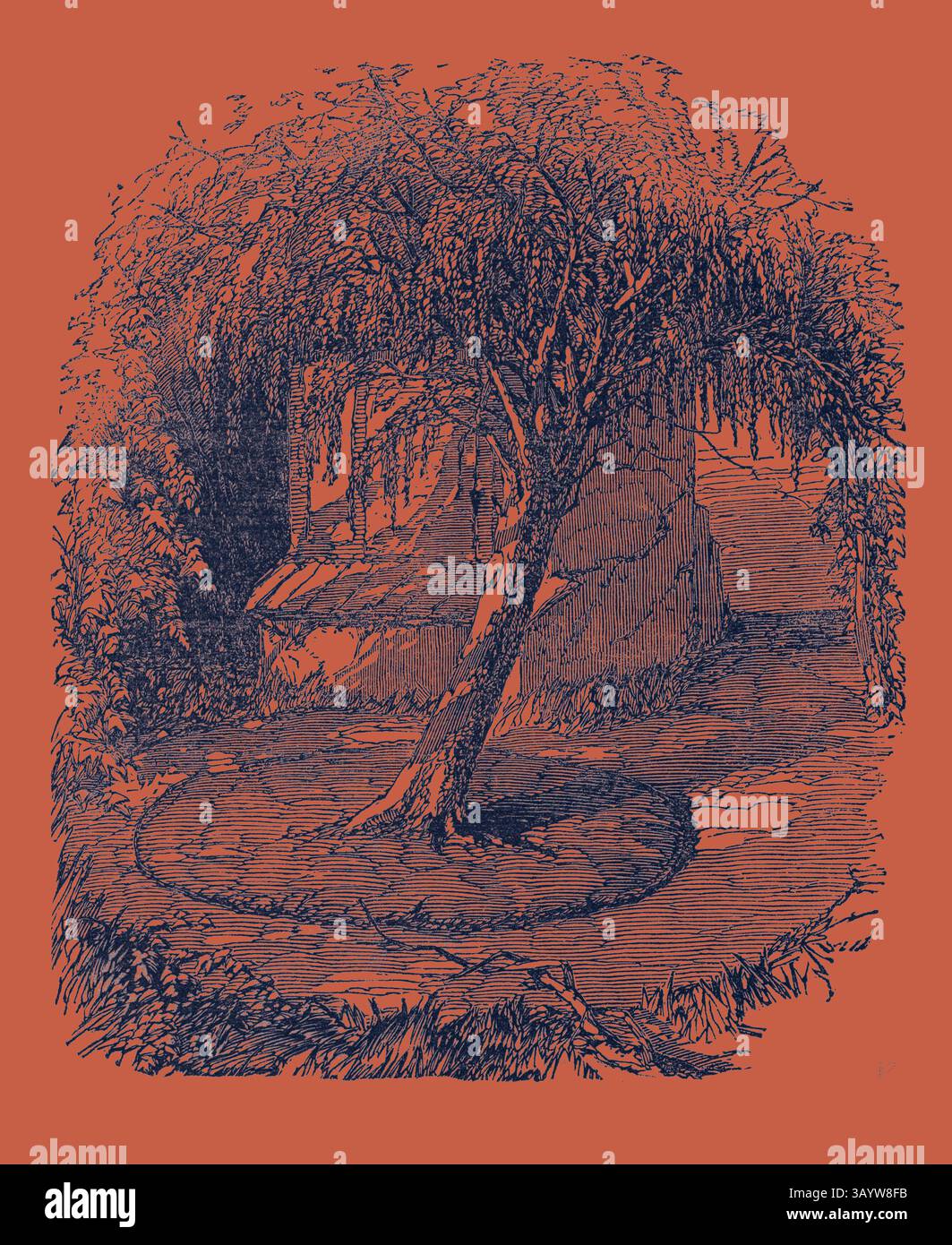 A whimsical scene featuring a curved tree with a sprawling canopy, set ...