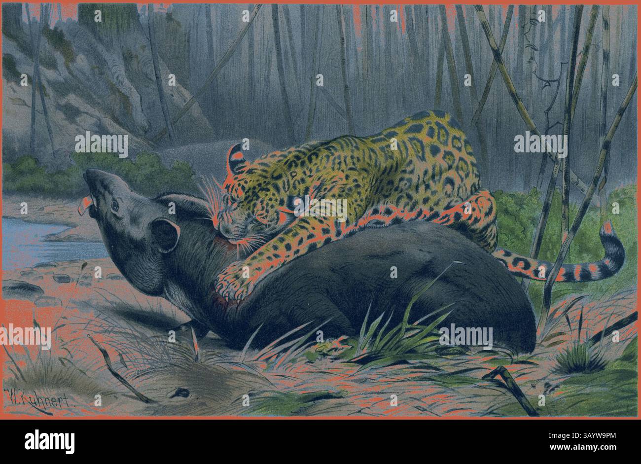 A leopard poised on the back of a large prey animal, showcasing the raw ...