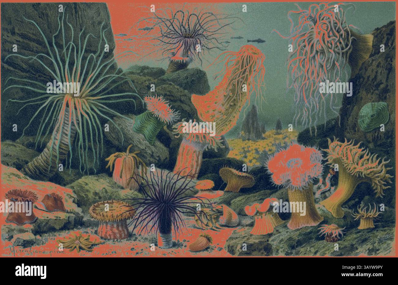 Textures mimic natural elements hi-res stock photography and images - Alamy