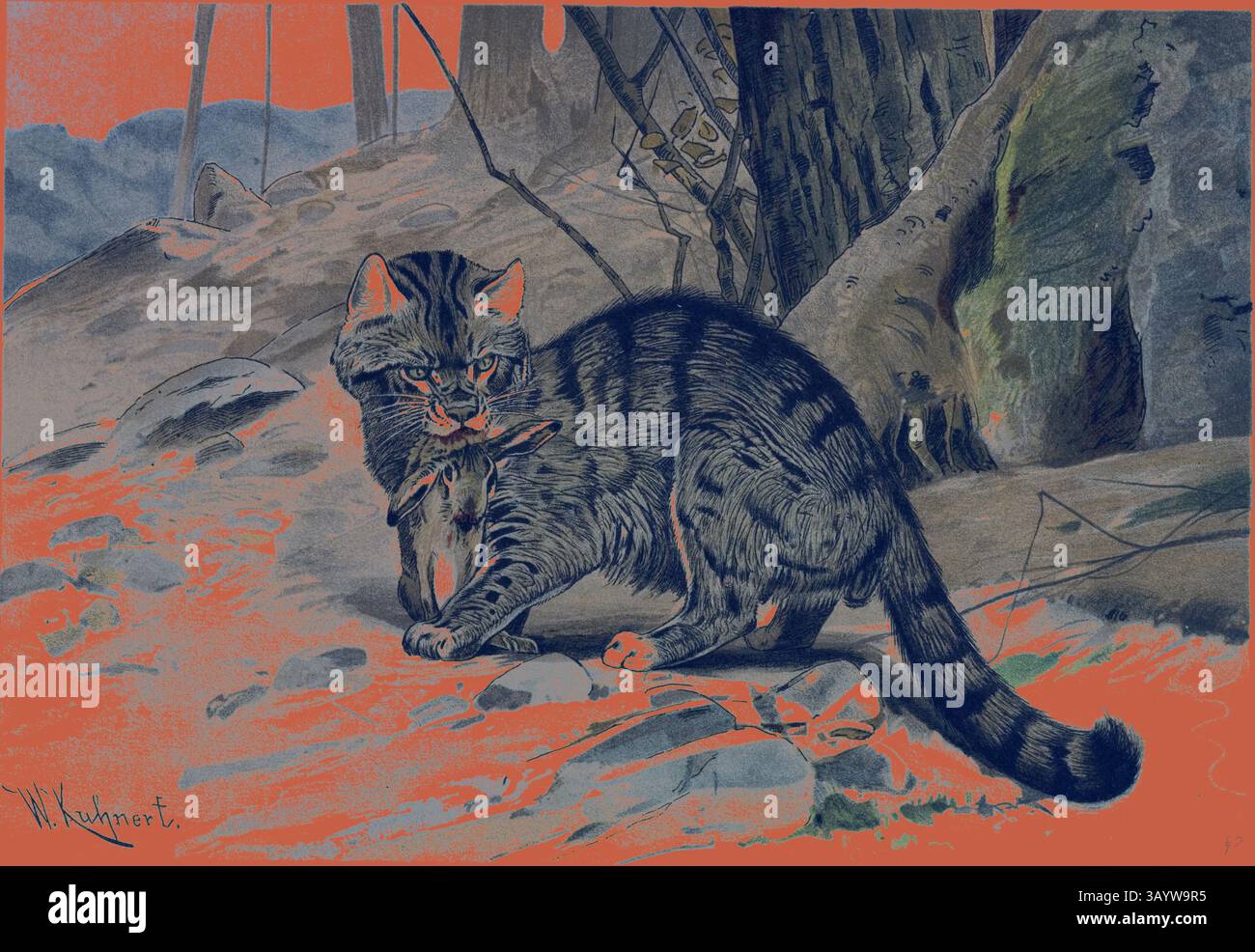 A majestic cat stands poised on rocky terrain, gripping its catch ...