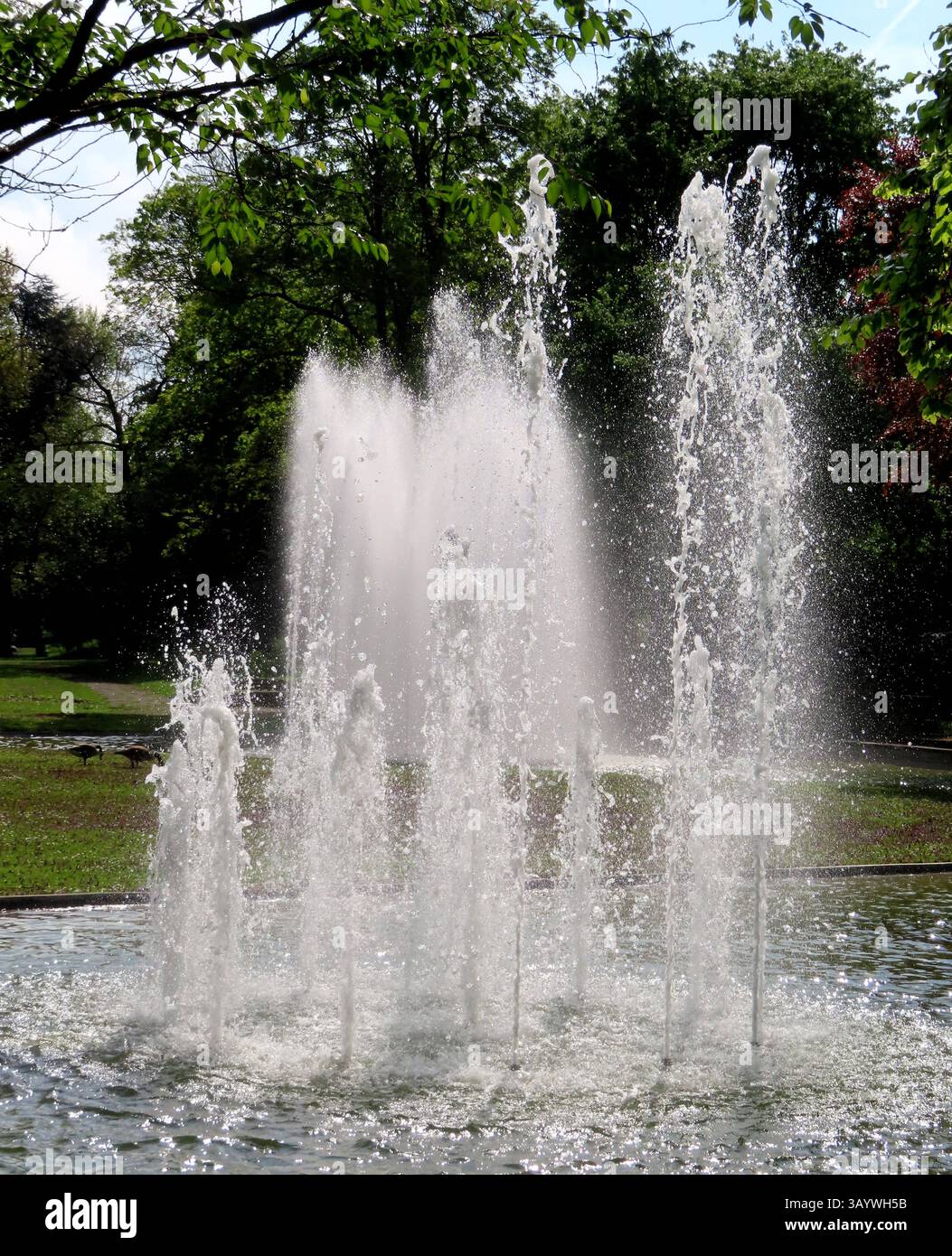 ...Blick auf zwei verschieden starke und virtuos unterschiedliche ...