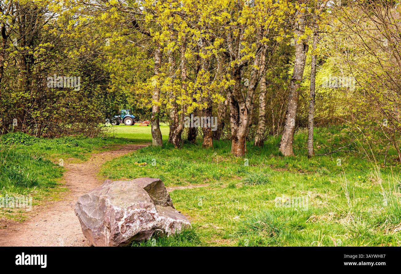 Dundee, Tayside, Scotland, UK. 23rd Apr, 2025. UK Weather: Warm and ...