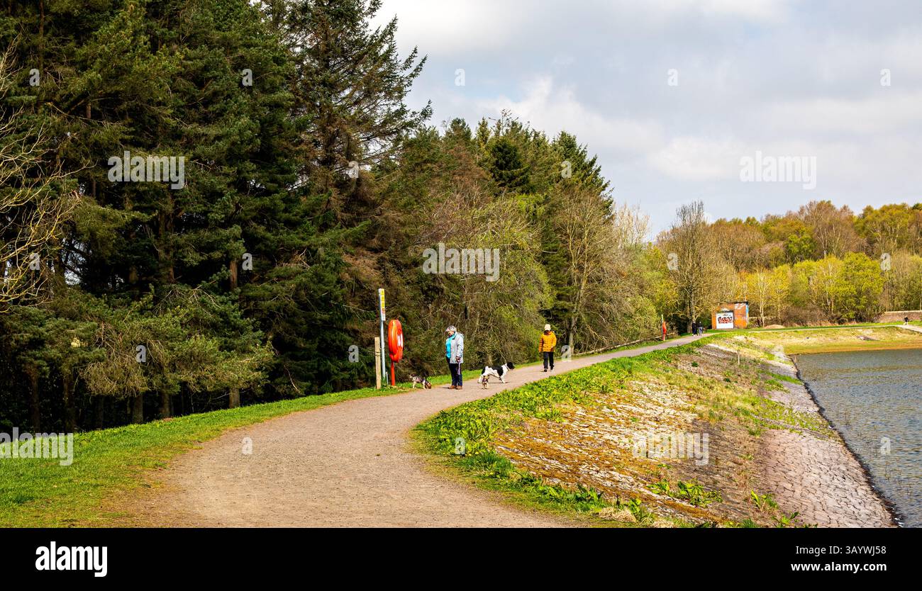 Dundee, Tayside, Scotland, UK. 23rd Apr, 2025. UK Weather: Warm and ...