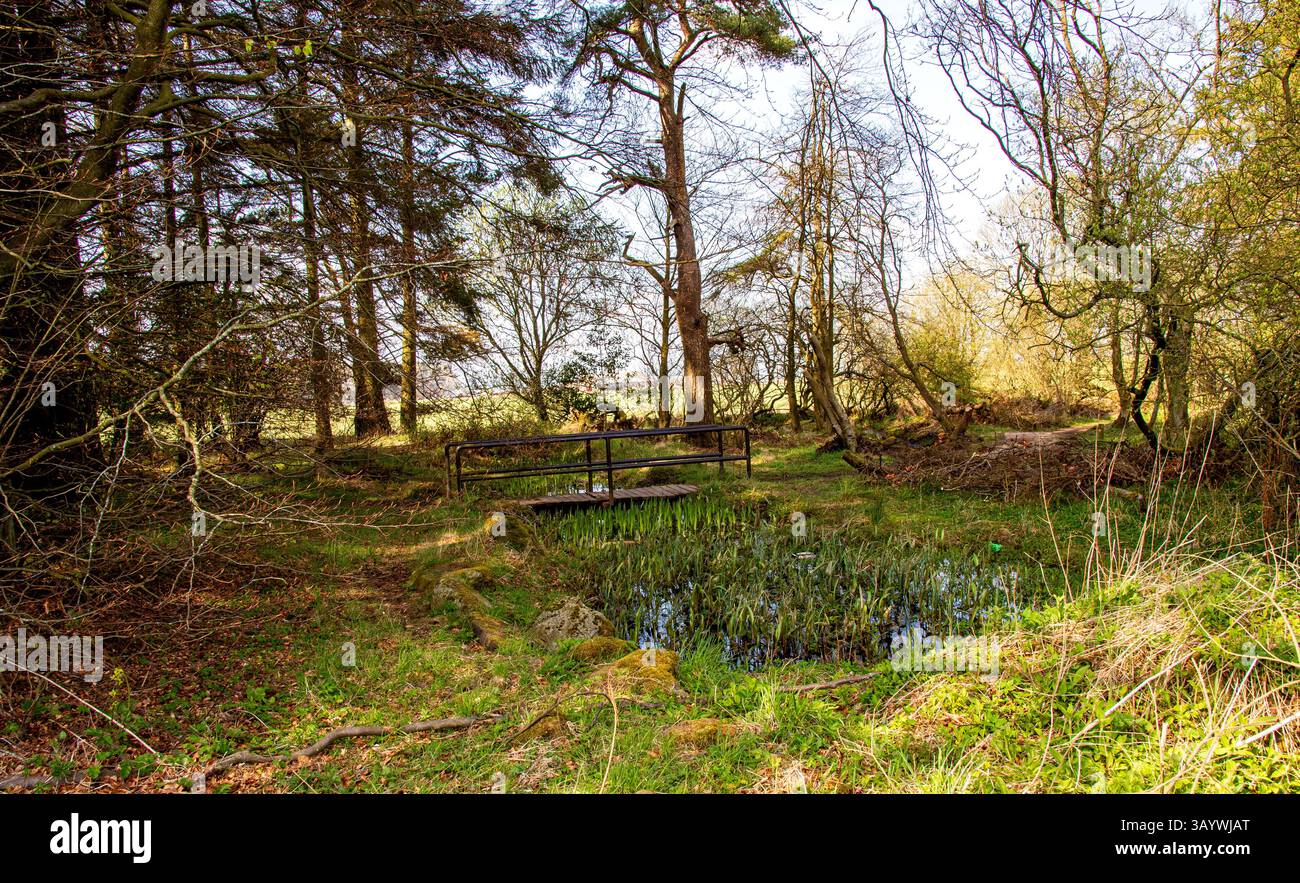 Dundee, Tayside, Scotland, UK. 23rd Apr, 2025. UK Weather: Warm and ...