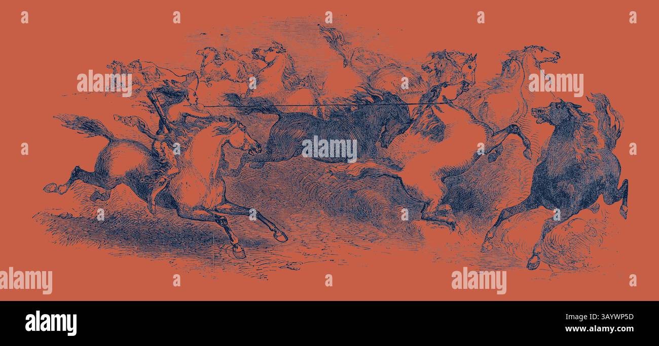 A dynamic scene featuring a group of horses in motion, galloping ...