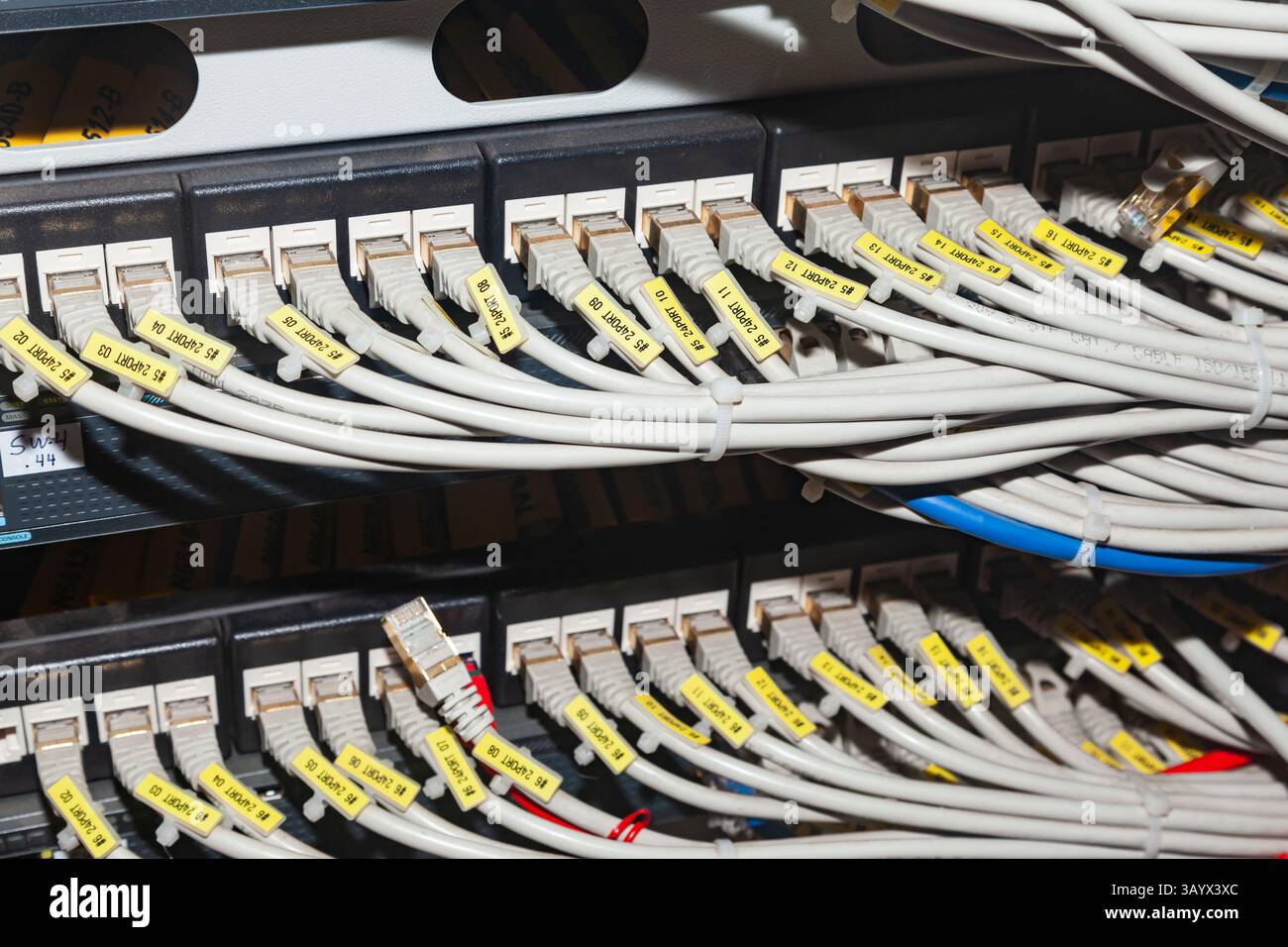 The back wall of the server cabinet, with internet cables connected to ...