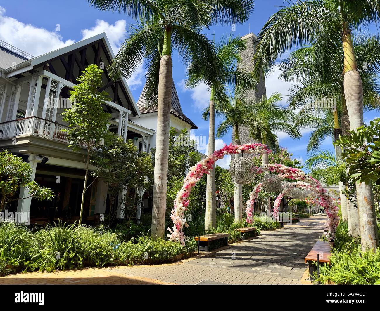 Tropical Resort Pathway with Floral Arch. Palm-Lined Walkway and ...