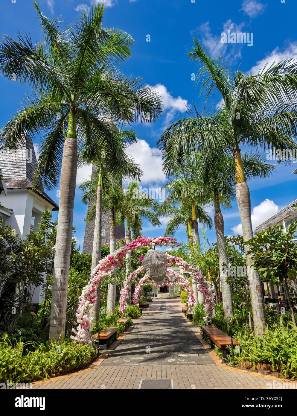 Palm Alley with Floral Arch. Tropical Resort Walkway. Elegant Entrance ...