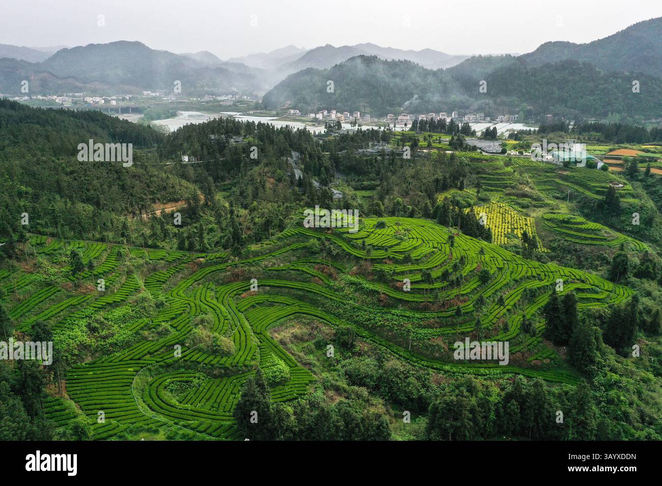 (250423) -- GUIZHOU, April 23, 2025 (Xinhua) -- An aerial drone photo ...