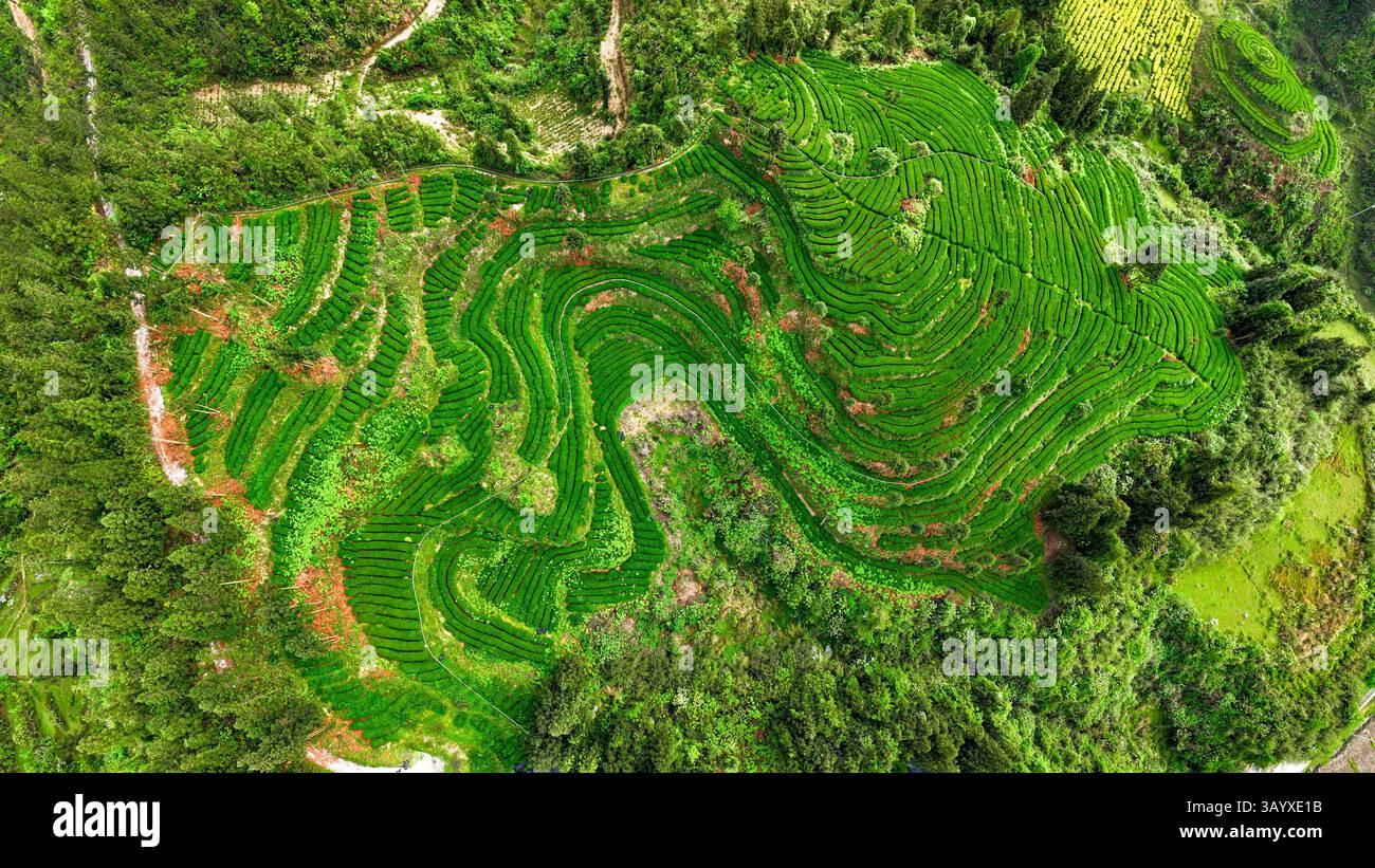 (250423) -- GUIZHOU, April 23, 2025 (Xinhua) -- An aerial drone photo ...