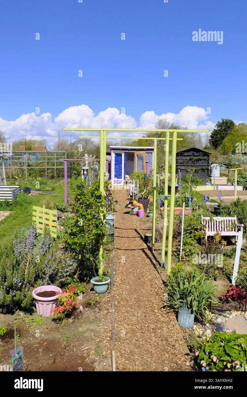 Uk garden pergola spring hi-res stock photography and images - Alamy