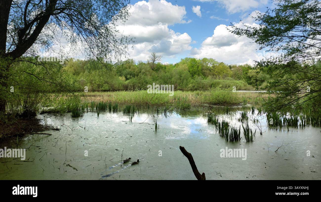 22.04.2025, Berlin - Deutschland. Fauler See, Weißensee, Pankow. *** 22 ...