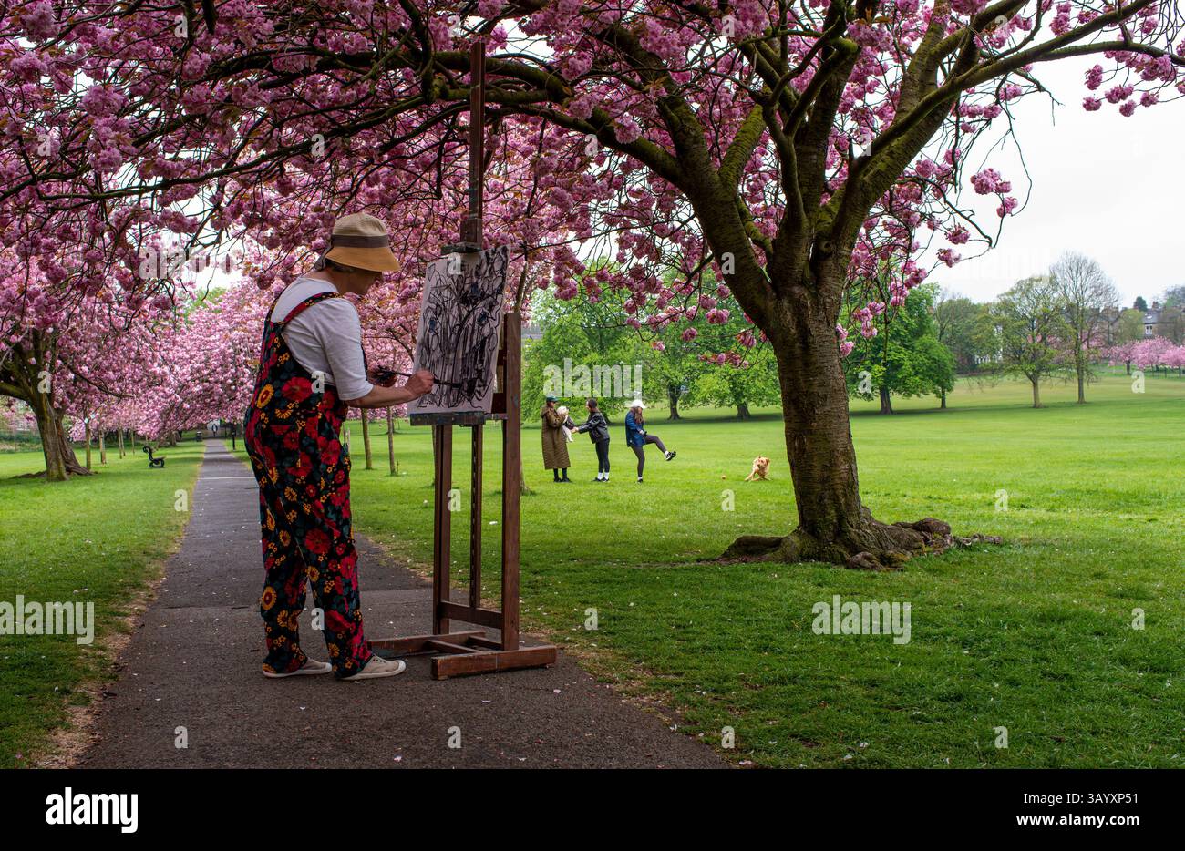 Harrogate, UK. 21st Apr, 2025. Local painter Kim Coley drawing and ...